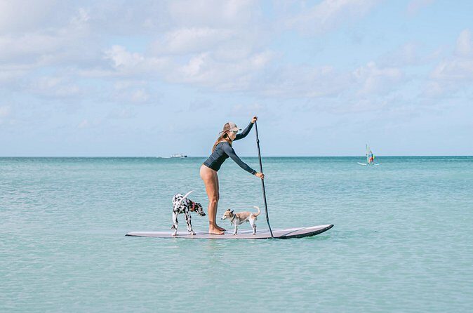 Private Aruba Stand Up Paddleboard Experience - What to Expect from the Aruba Stand Up Paddleboard Tour