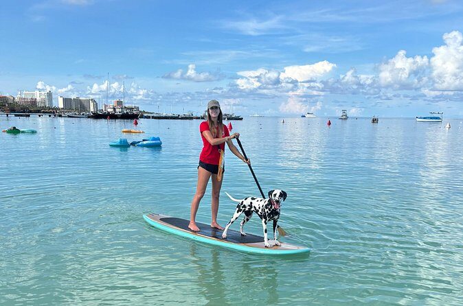 Private Aruba Stand Up Paddleboard Experience - Who Should Consider This Experience?