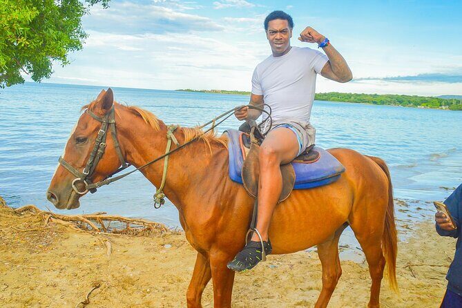 Private ATV, Horse Back Ride & Blue Hole Experience in Ocho Rios - A Deep Dive into the Experience