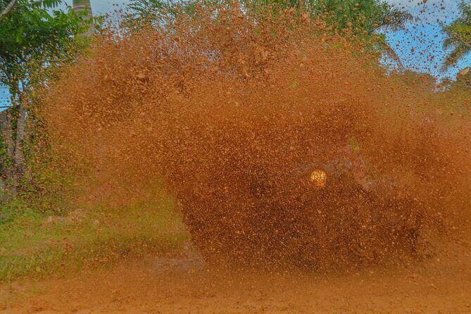 Private ATV Tour to Las Lagunas de Nisibon and Playa Vacama - What Travelers Say