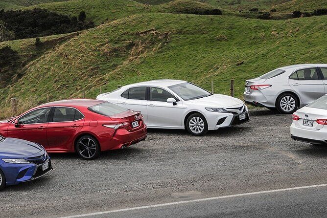 Private Auckland Airport Transfer To/From Auckland Hotels by Car - The Transfer Experience: A Detailed Exploration