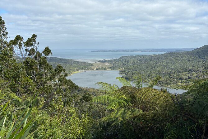 Private Auckland best Spots + Piha beach and rainforest day Tour - An In-Depth Look at the Itinerary