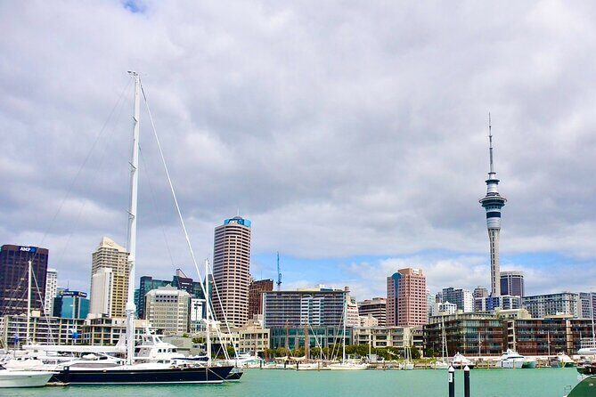 Private Auckland best Spots + Piha beach and rainforest day Tour - What Could Be Better?