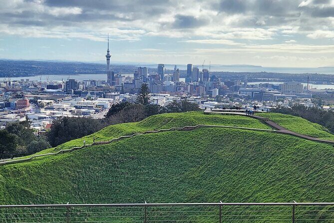 Private Auckland best Spots + Piha beach and rainforest day Tour - Who Should Book This Tour?