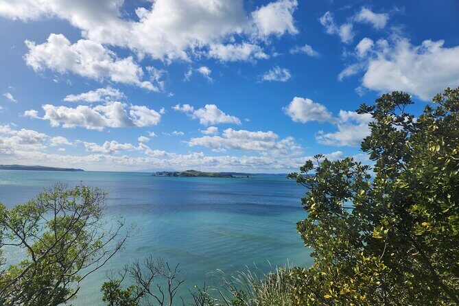 Private Auckland best Spots + Piha beach and rainforest day Tour - Frequently Asked Questions