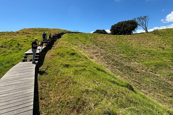 Private Auckland Best Top 5 Spots Half day Tour - Accessibility and Comfort