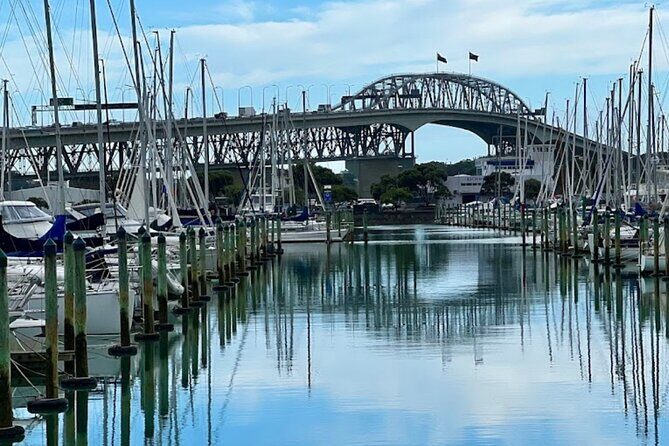 Private Auckland Best Top 5 Spots Half day Tour - Weather and Flexibility