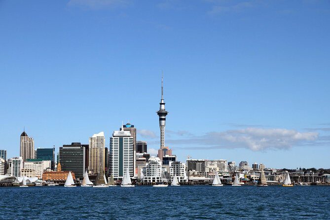 Private Auckland City Tour For Small Group in a luxury vehicle. - A Practical Look at the Private Auckland City Tour in a Luxury Vehicle