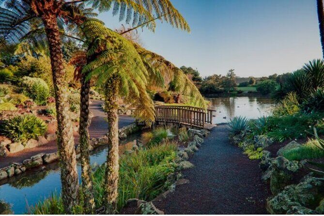 Private Auckland Full DayTour with Piha Beach(Optional/Customise) - What to Expect from the Tour