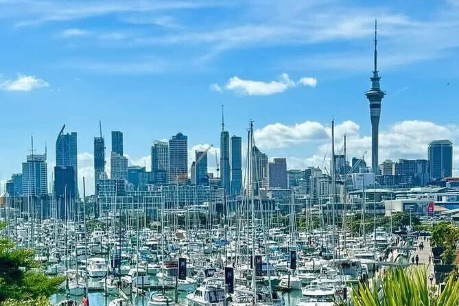 [PRIVATE] Auckland Half Day City Tour - An Honest Look at the Auckland Half Day City Tour