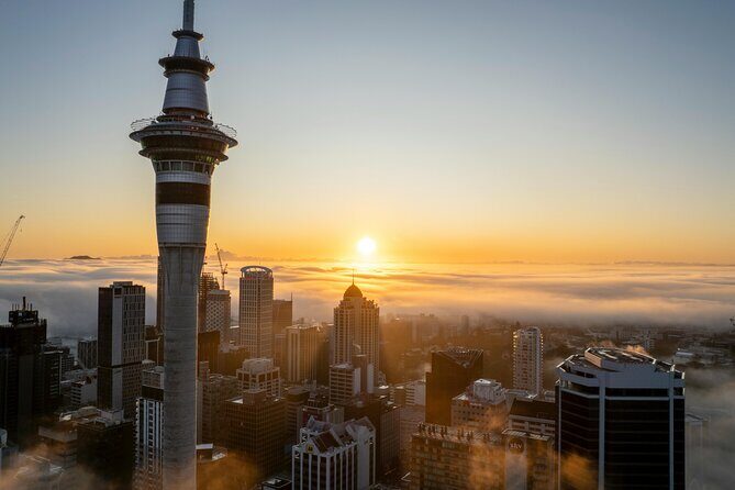 Private Auckland Half Day Tour of Attractions and Museums - Discovering Auckland in Half a Day