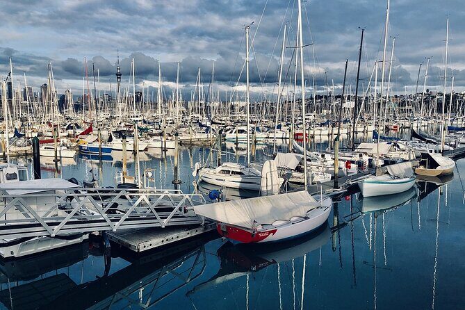 Private Auckland Half Day Tour of Attractions and Museums - Practicalities and Value