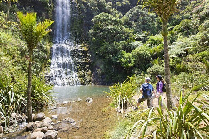 Private Auckland Luxury Tour - Starting Smoothly: Pickup and the Introduction to Auckland
