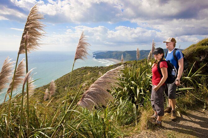 Private Auckland Luxury Tour - West Coast Wonders: Karekare Falls and the Arataki Visitor Centre