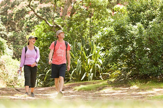 Private Auckland Luxury Tour - The Flexibility and Comfort of the Tour