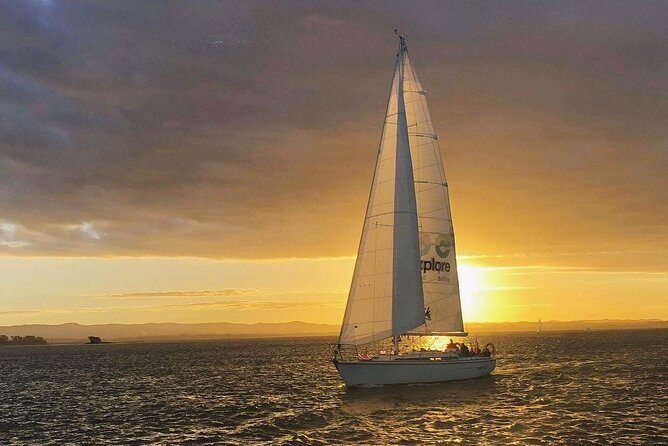 Private Auckland North Eastern Coast Tour - What Makes This Tour Stand Out?