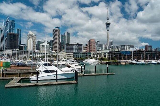 Private Auckland Shore Excursion: Half-Day City Highlights - What Travelers Can Expect