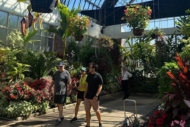 Private Auckland Shore Excursion: Half-Day City Highlights - FAQ
