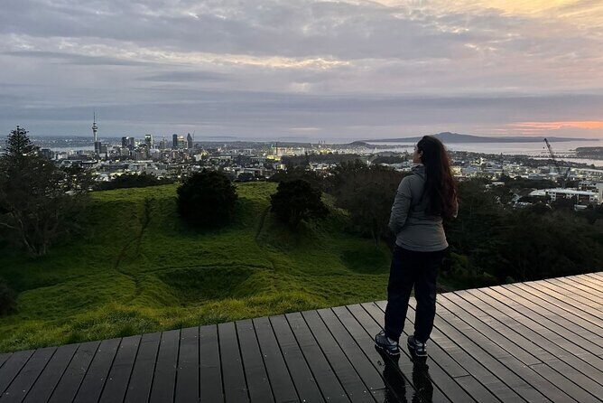 Private Auckland Sunrise Tour: Mount Eden Summit & Morning Views - Who Should Consider This Tour?