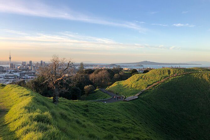 Private Auckland Tour - A Closer Look at the Private Auckland Tour