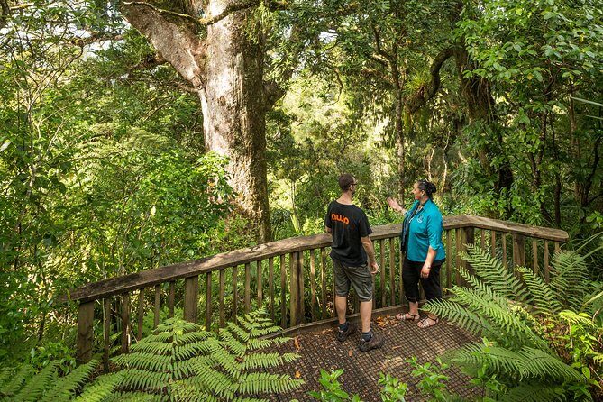 Private Auckland West Coast Day Tour - Key Points