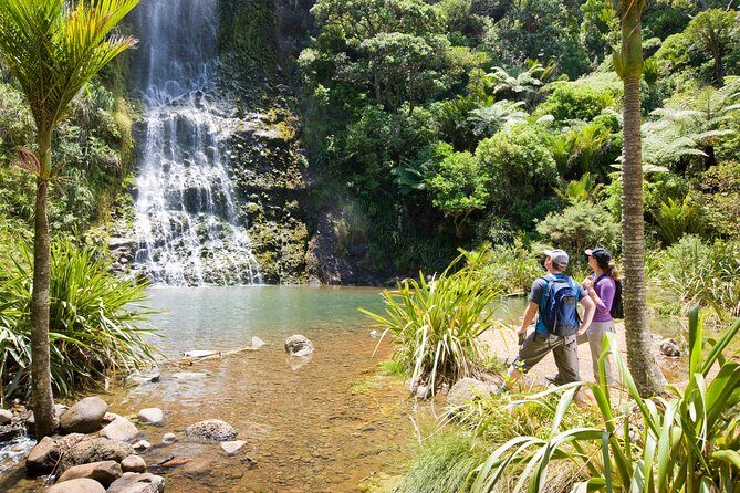 Private Auckland West Coast Day Tour - An In-Depth Look at the Private Auckland West Coast Day Tour