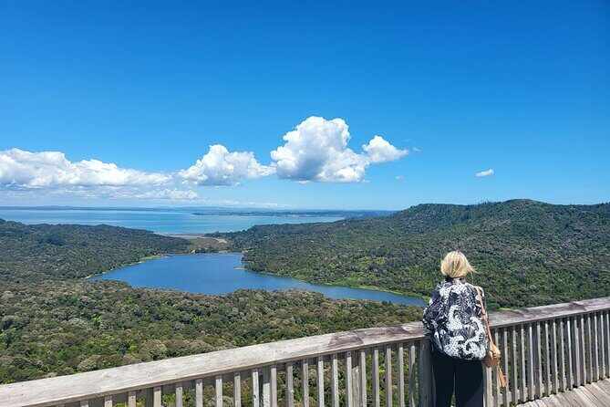 Private Auckland West Coast Karekare Falls, Rainforest and Piha - Who Is This Tour Best For?