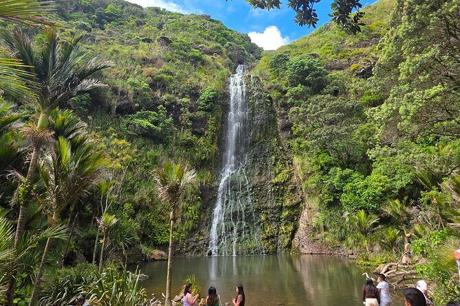 Private Auckland West Coast Tour Piha Beach and Karekare Falls - Key Points