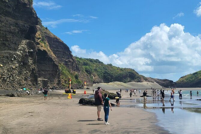 Private Auckland West Coast Tour Piha Beach and Karekare Falls - Authentic Experiences in Auckland’s West Coast