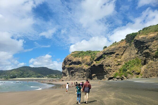Private Auckland West Coast Tour Piha Beach and Karekare Falls - Who Will Love This Tour?