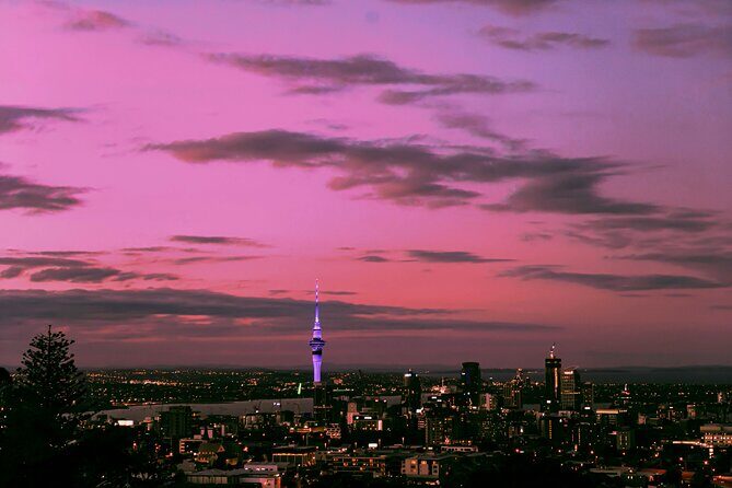 Private Auckland's Urban Charm Half Day Tour - A Closer Look at the Itinerary