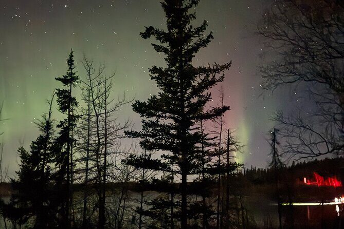 Private Aurora Tour Small Group SUV Experience - Why This Tour is a Good Fit