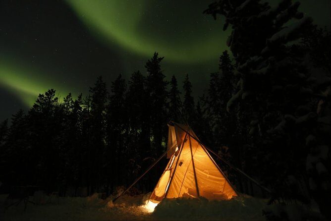 Private Aurora Viewing Experience - The Remote Cabin on a Private Island