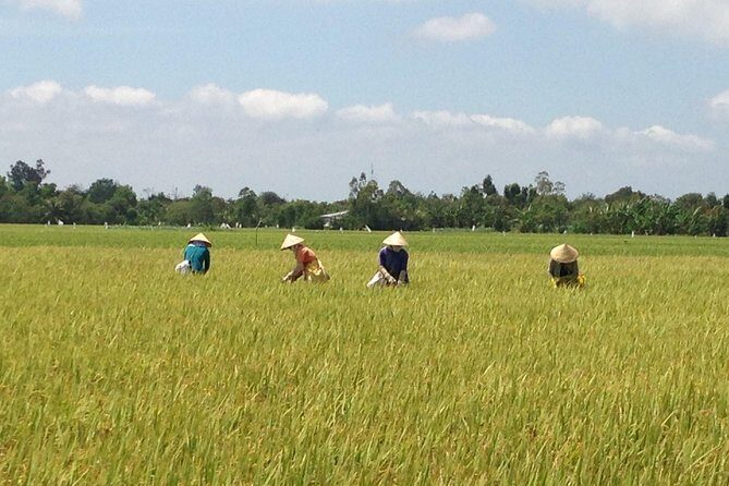 Private Authentic Mekong River Full Day Trip - Non Touristic Mekong delta - Key Points