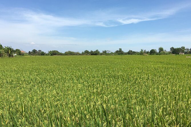 Private Authentic Mekong River Full Day Trip - Non Touristic Mekong delta - The Sum Up