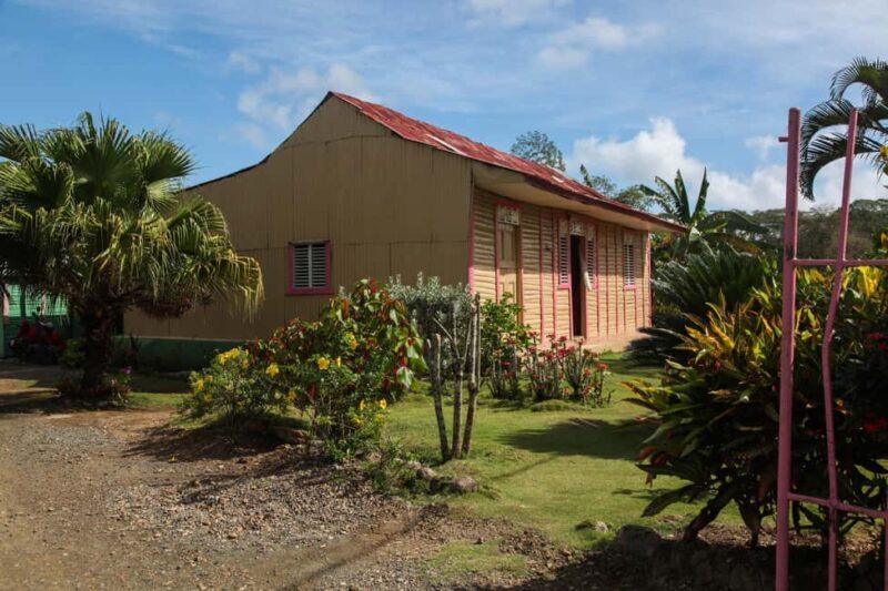 Private: Authentic Punta Cana Cultural Immersion Market Trip - Final Thoughts