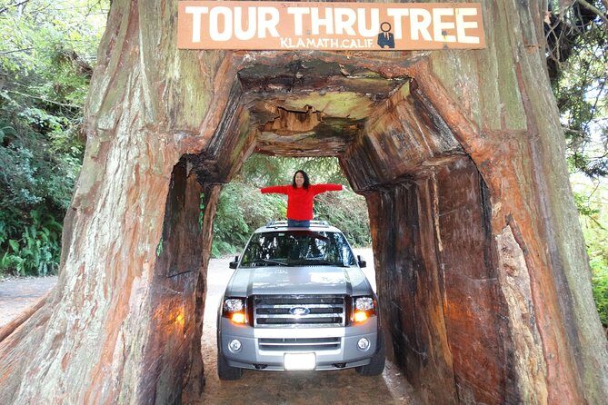 Private Avenue of the Giants Redwoods Day Trip from San Francisco - Why Choose This Tour?