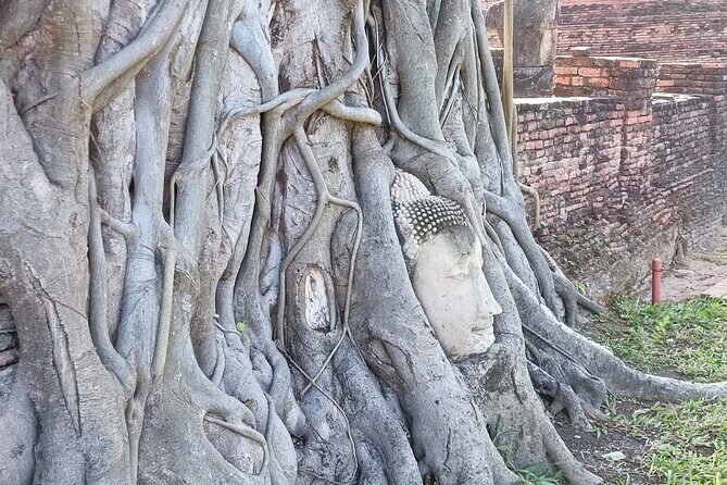 Private Ayutthaya Famous Temples Tour From Bangkok - Authentic Insights from Past Travelers