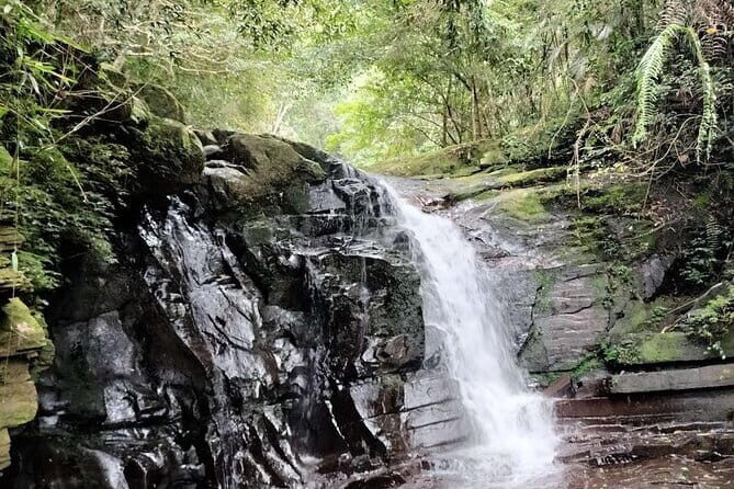 Private Bach Ma National Park Day Trip from Hoi An/Da Nang or Hue - What Travelers Say