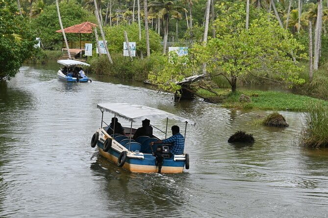 Private Backwater Boat Cruise Tour in Poovar near Trivandrum - Why This Tour Offers More Than Just a Boat Ride