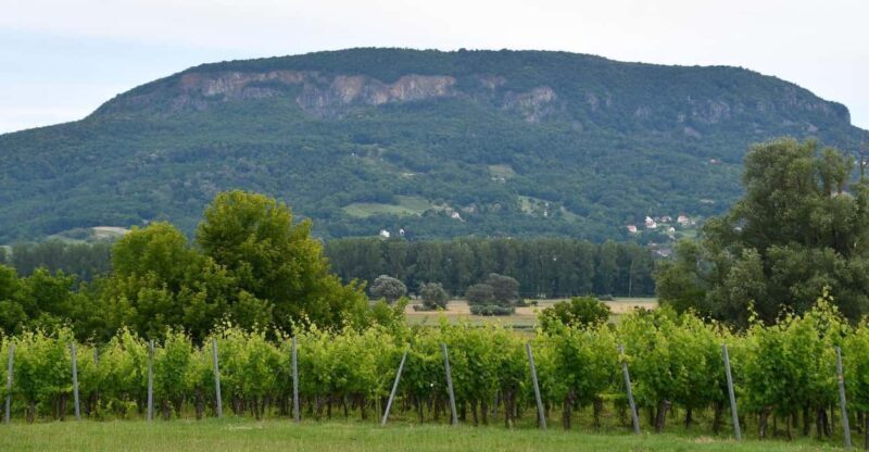 Private Badacsony Volcano Hike & Lake Balaton Views - Authentic Insight into Local Geology and Culture