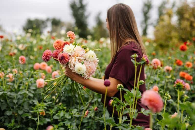 Private Bainbridge Island Discovery and Wine Tour - The Itinerary: What To Expect and Why It Matters
