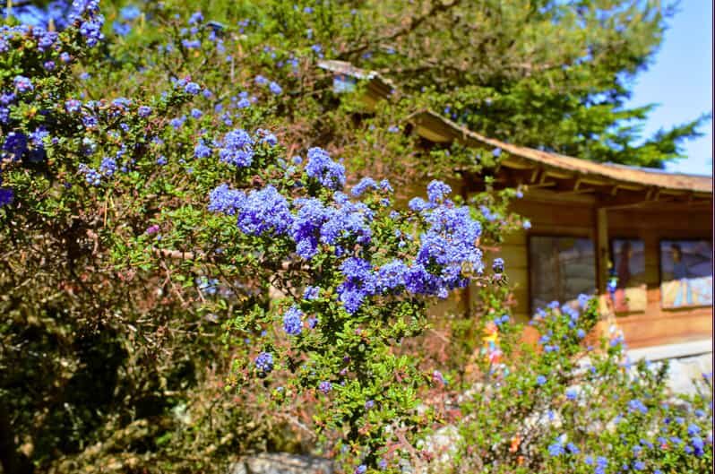 Private Bainbridge Island Discovery Tour - Practical Details and What to Expect