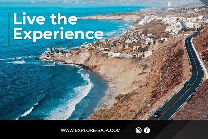 PRIVATE BAJA WINERIES EXPERIENCE (Transportation,concierge,custom schedule) - Exploring the PRIVATE BAJA WINERIES EXPERIENCE: A Personalized Journey through Guadalupe Valley