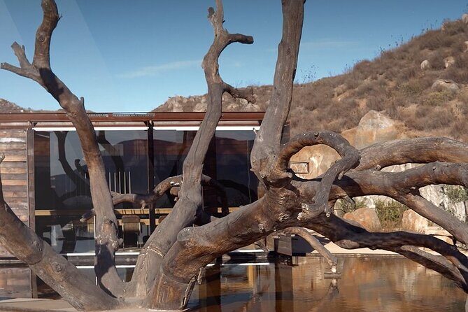 PRIVATE BAJA WINERIES EXPERIENCE (Transportation,concierge,custom schedule) - FAQs