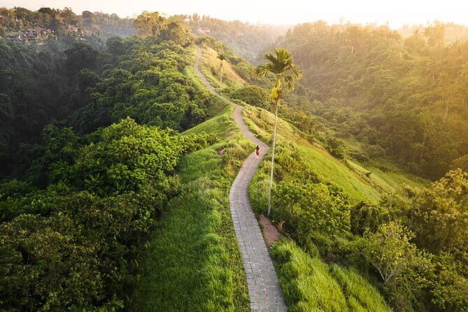 Private Bali Airport Transfer in Ubud Area - What To Expect