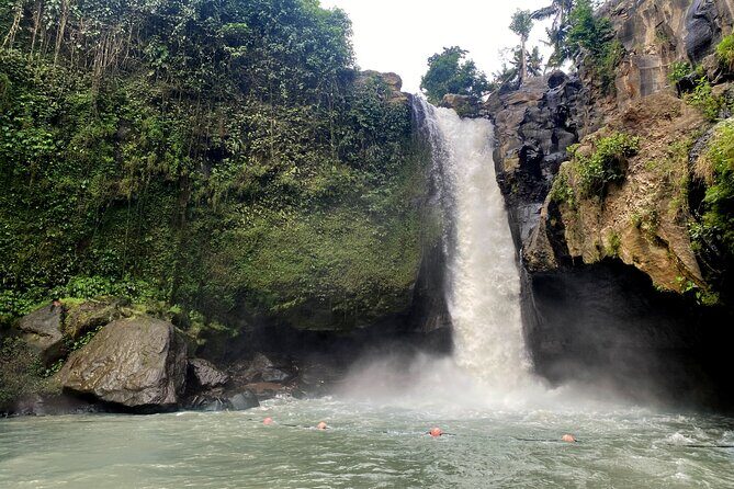 Private Bali Custom Tour  Full Day with English-Speaking Driver - A Deep Dive into the Experience