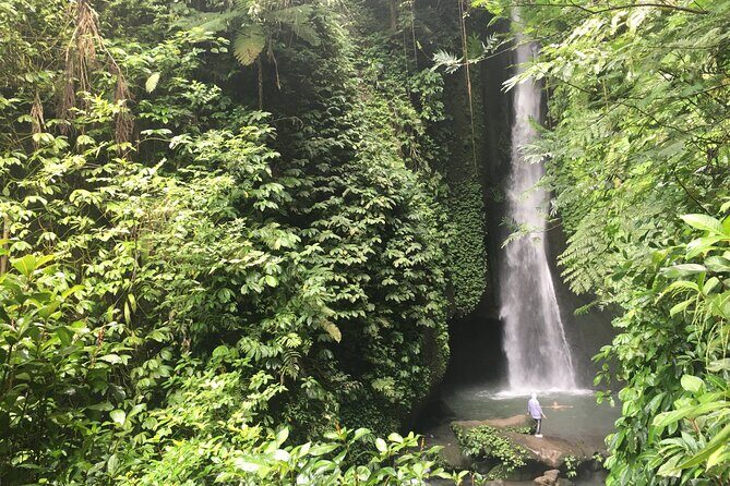 Private Bali Custom Tour  Full Day with English-Speaking Driver - FAQ