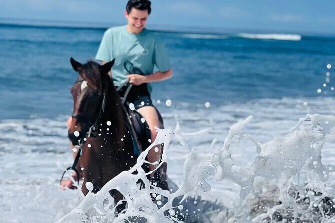 Private Bali Horse ride - Key Points