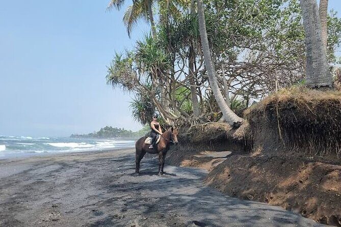 Private Bali Horse ride - Who Is This Tour Best For?